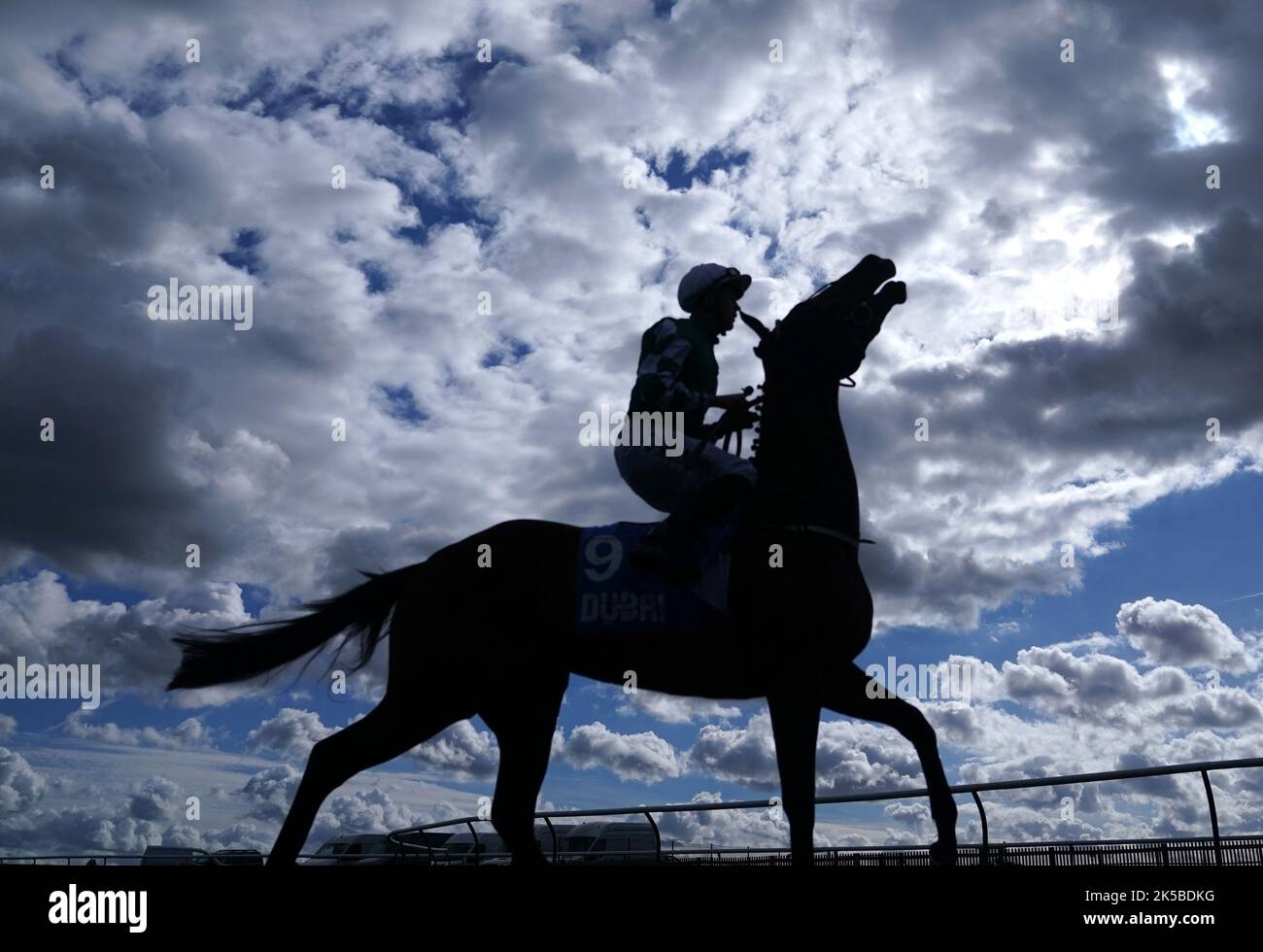 A horse goes to post ahead of the Newmarket Academy Godolphin Beacon ...