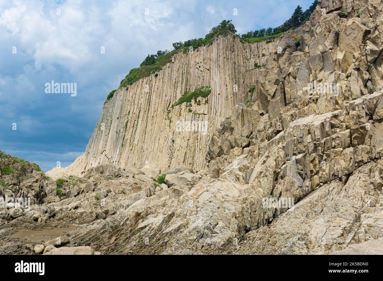 high coastal cliff formed by solidified lava stone columns, Cape ...
