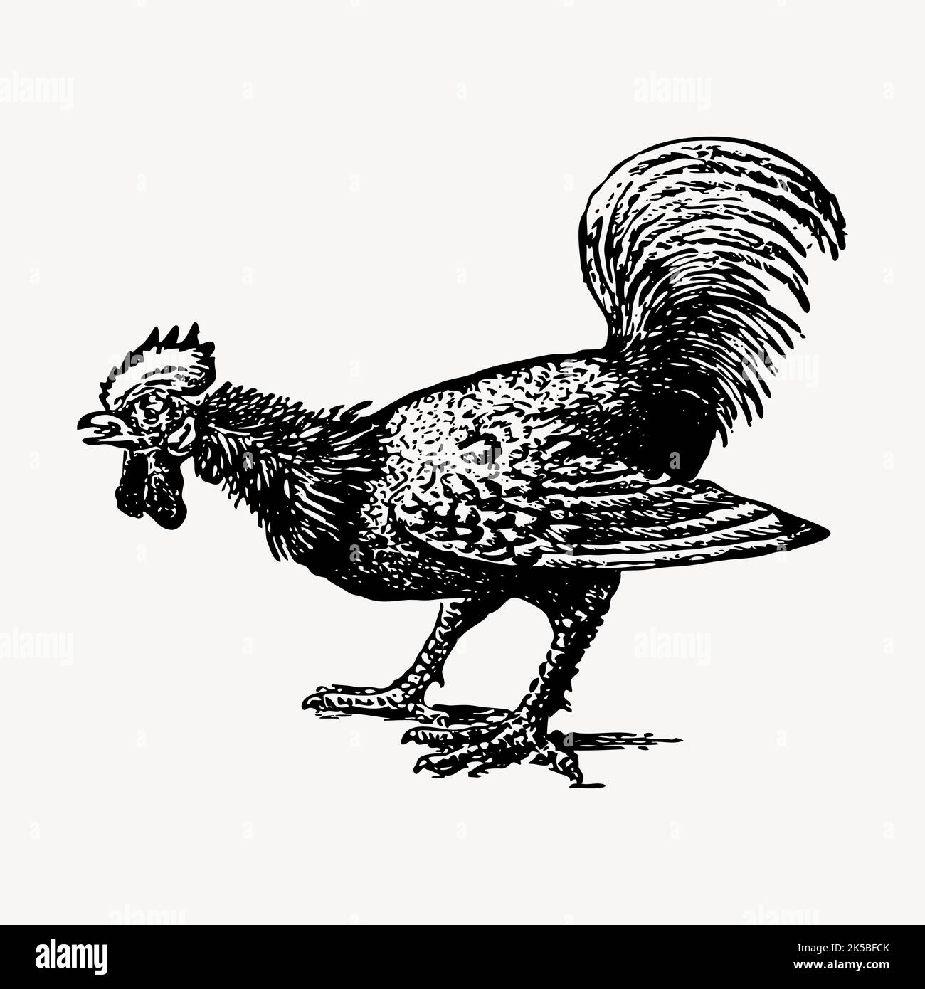 Rooster, chicken drawing, illustration vector Stock Vector Image & Art ...