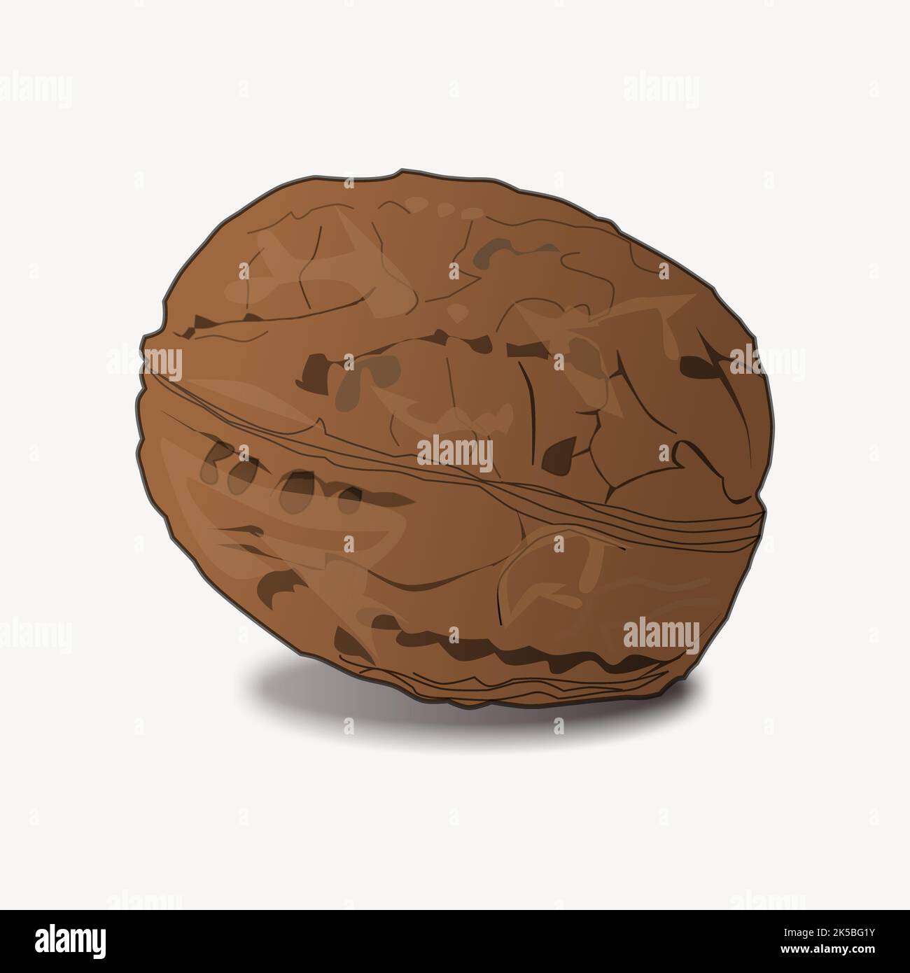 Walnut clipart, illustration vector Stock Vector Image & Art - Alamy