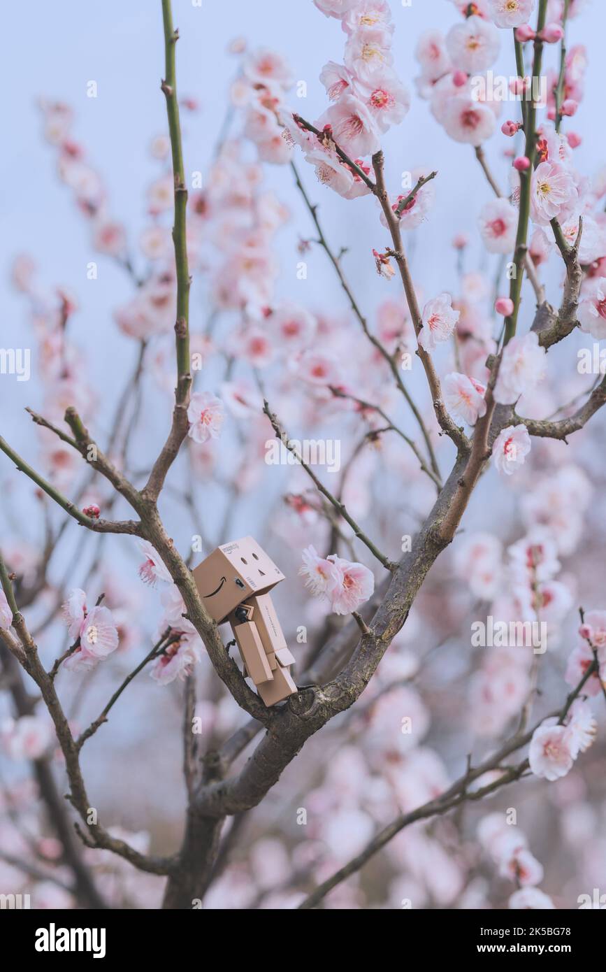 A vertical shot of the wooden small robot on the blooming tree branch ...