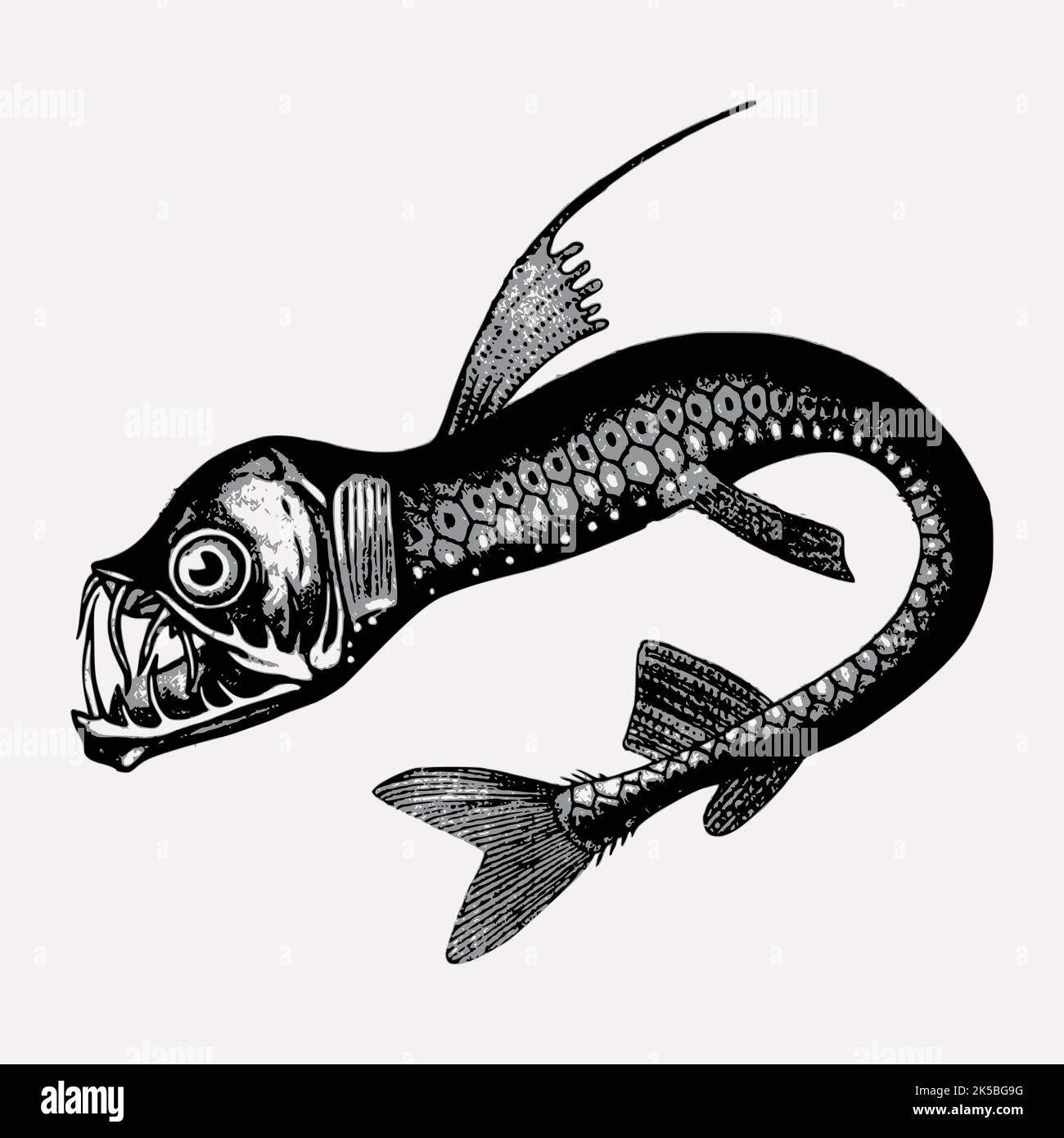 Sea monster drawing, vintage illustration vector Stock Vector Image ...