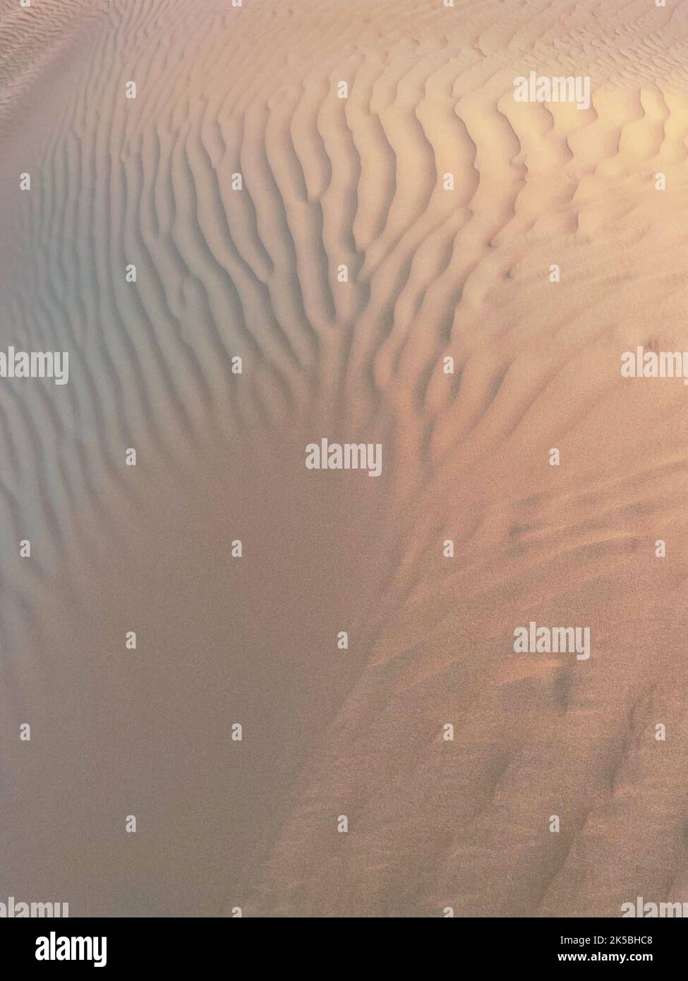 Natural pattern on a dune sand at sunset in desert Stock Photo - Alamy