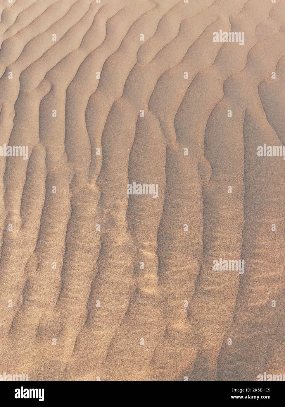 Natural pattern on a dune sand at sunset in desert Stock Photo - Alamy
