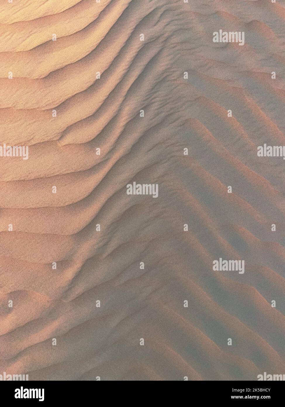 Natural pattern on a dune sand at sunset in desert Stock Photo - Alamy
