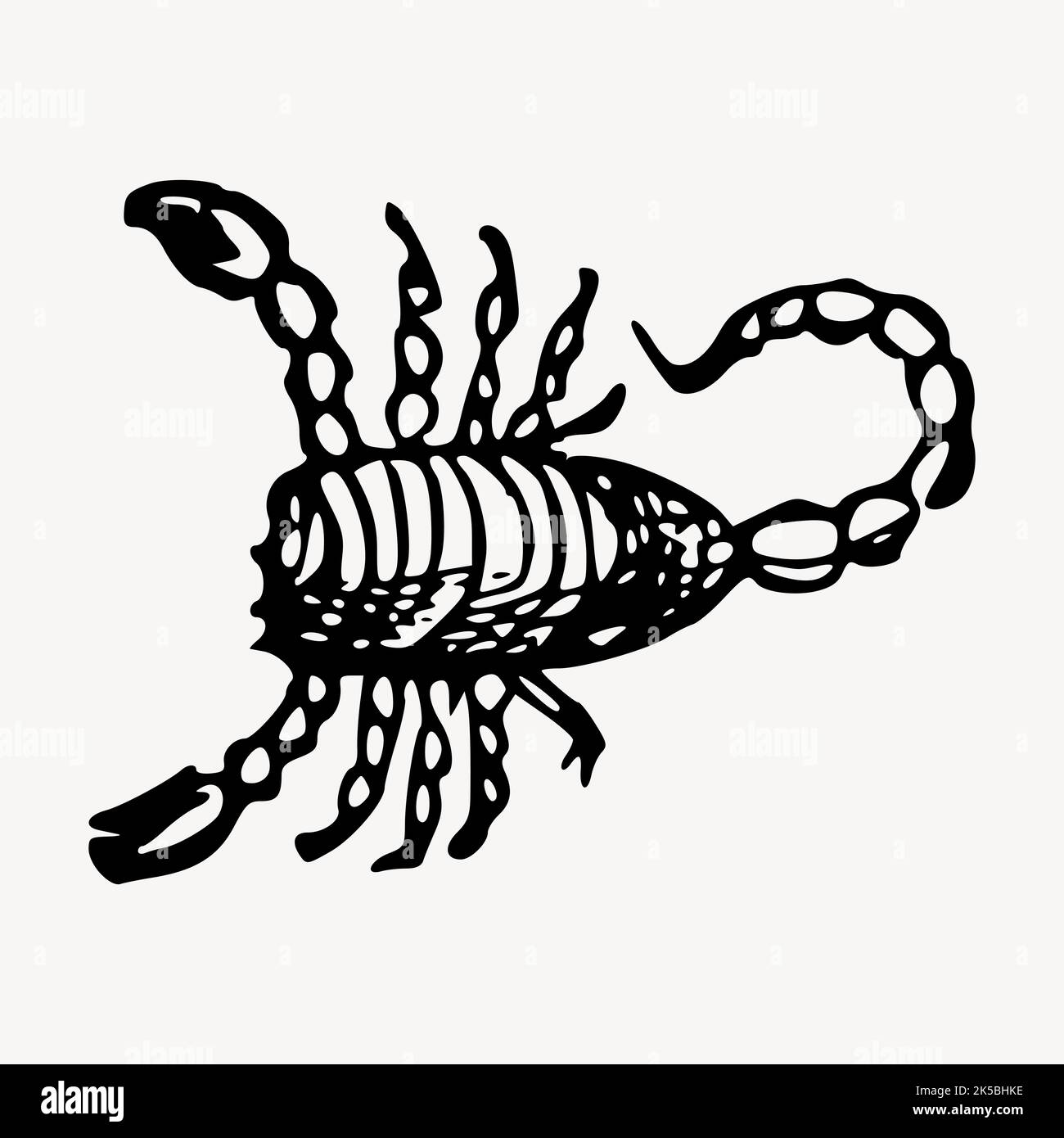 Scorpion drawing hi-res stock photography and images - Alamy