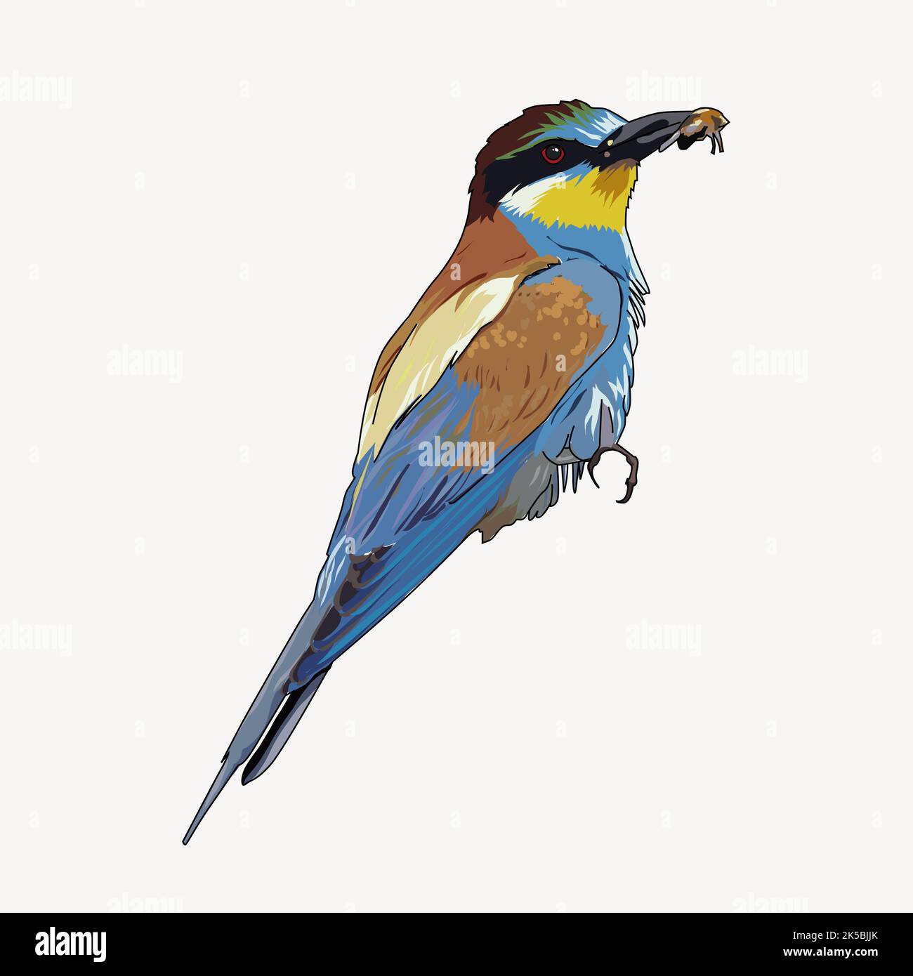 Bee-eater bird collage element, drawing illustration vector Stock ...