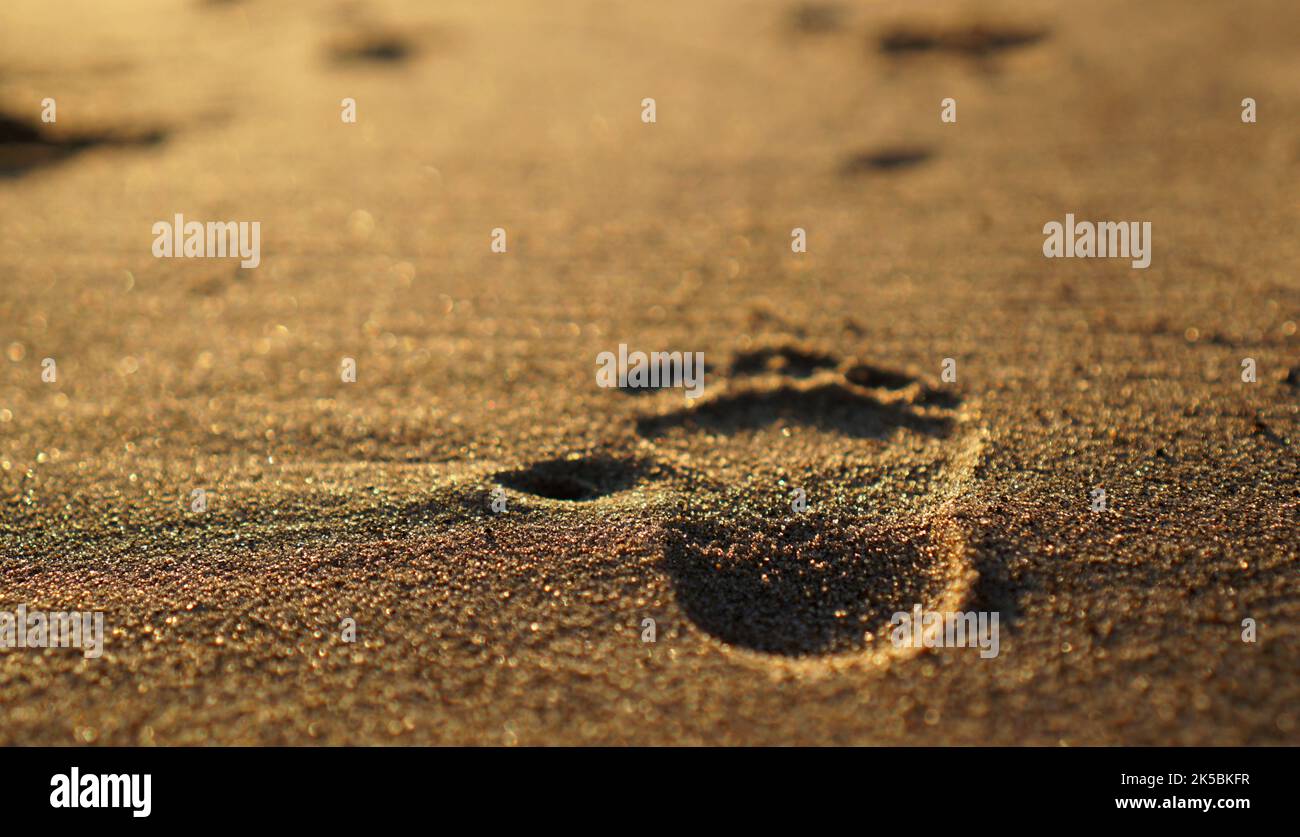 Light footprint hi-res stock photography and images - Alamy