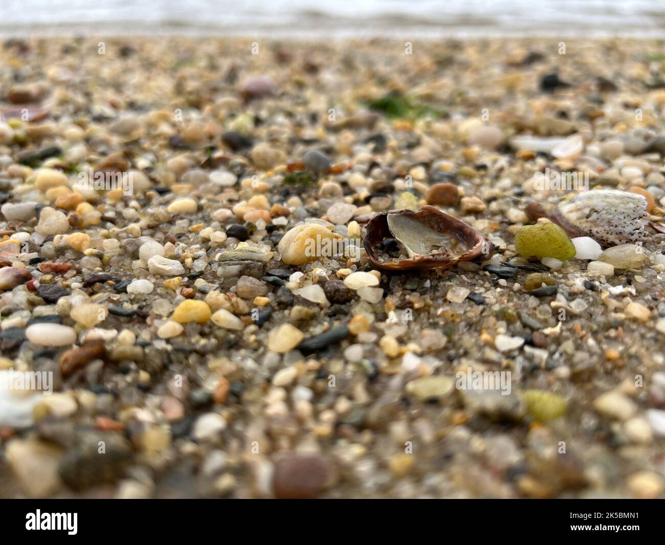 Close-up of seashells covering Port Jefferson beach on Long Island ...