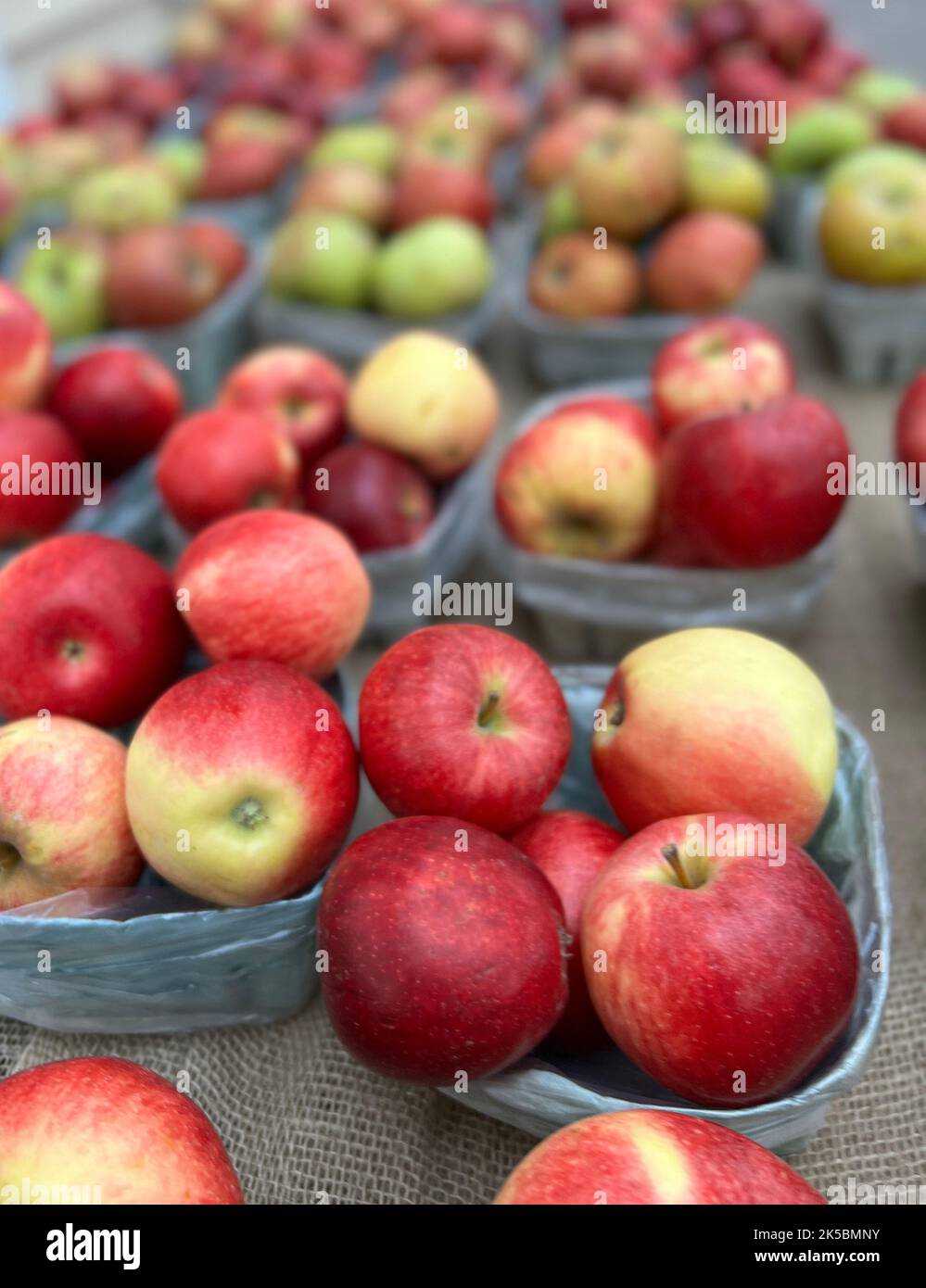 Baskets of freshly harvested apples at a roadside stand in New York ...