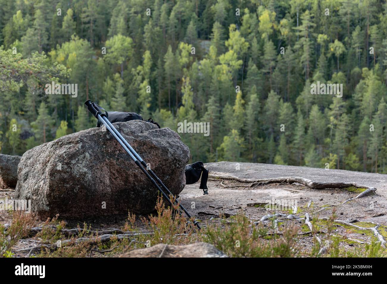 Hiking poles leaning on a rock on top of the hill with a scenic forest ...