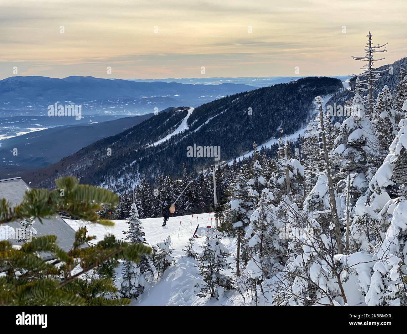 The mountain spruce forest landscape view covered in snow Stock Photo ...
