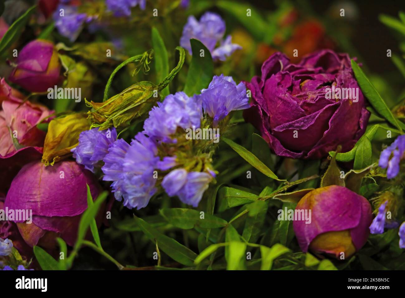 Colorful flower bouquet in closeup Stock Photo - Alamy