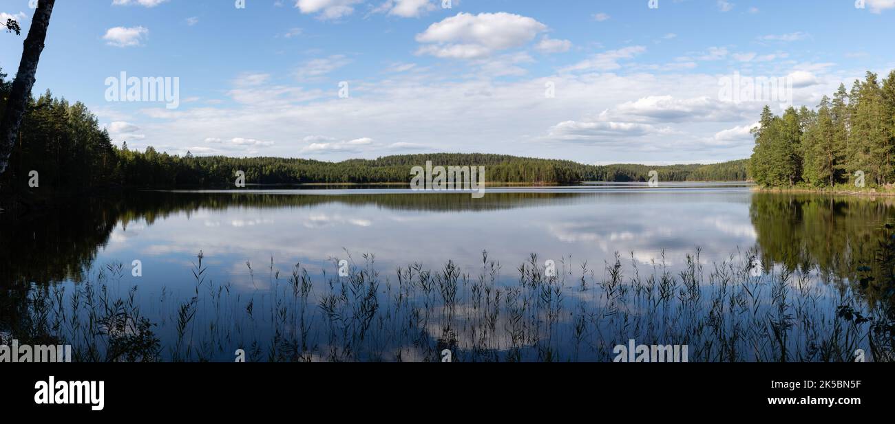Finnish lake view, landscape panorama from Repovesi National Park in ...