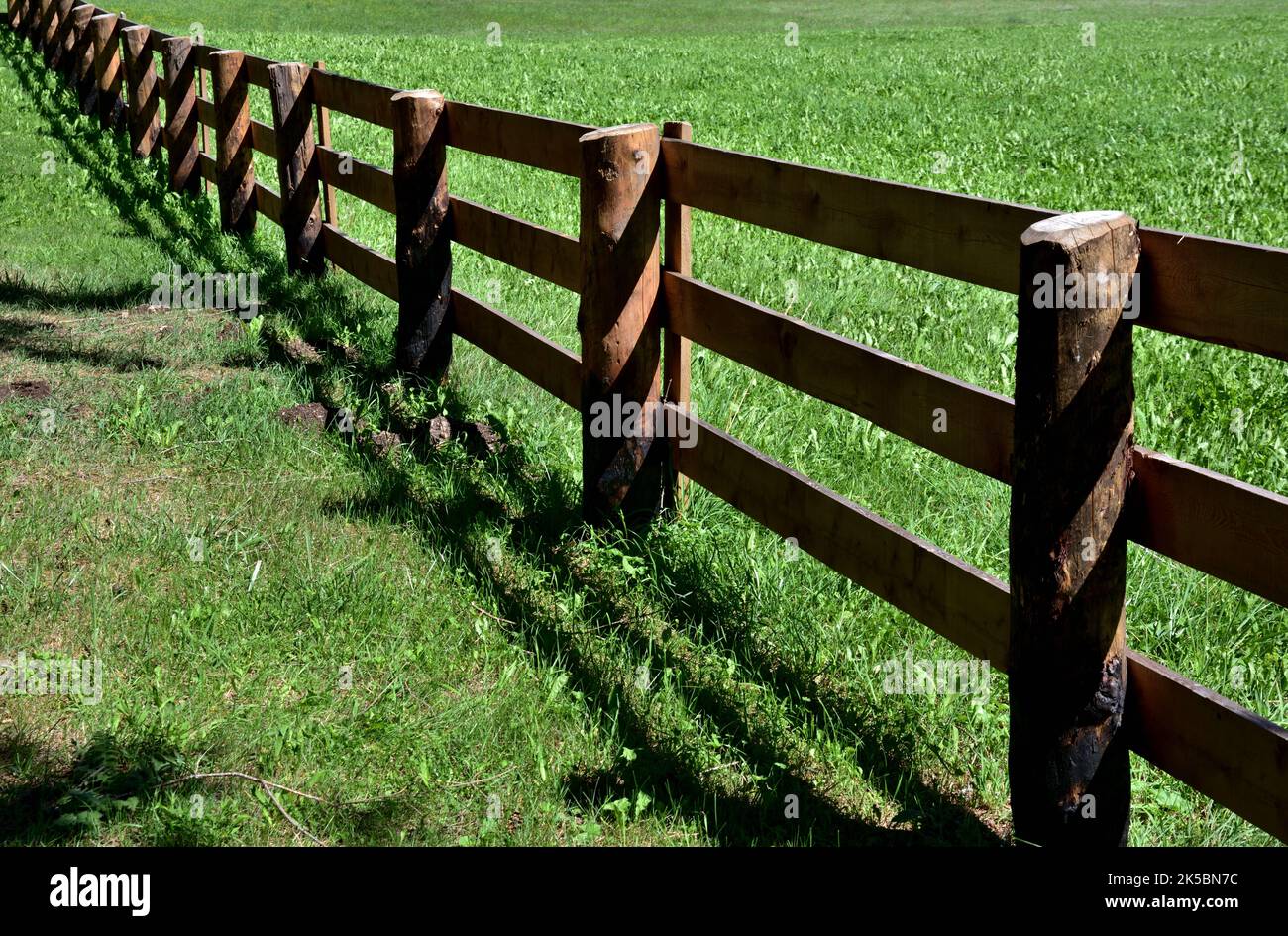 A new fence has just been installed in the lawn to fence of the grazing ...