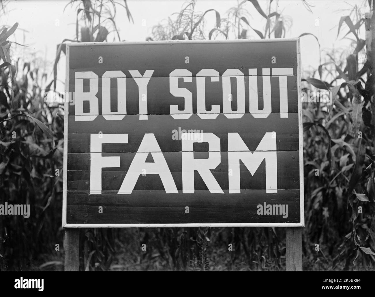 Scout art Black and White Stock Photos & Images - Alamy
