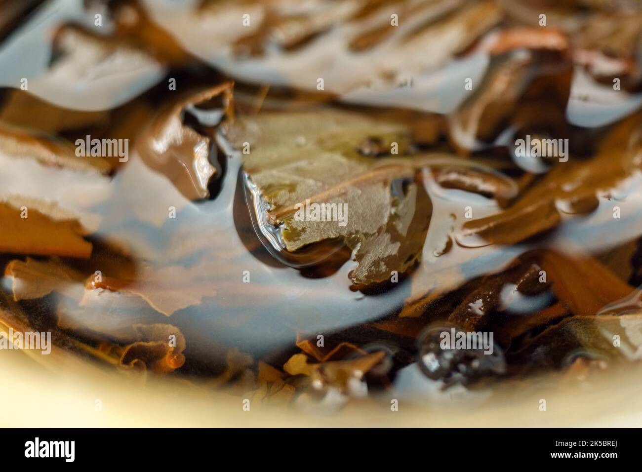 Pressed Pu erh tea fermented aged tea leaves. Macro close up. Brewing ...
