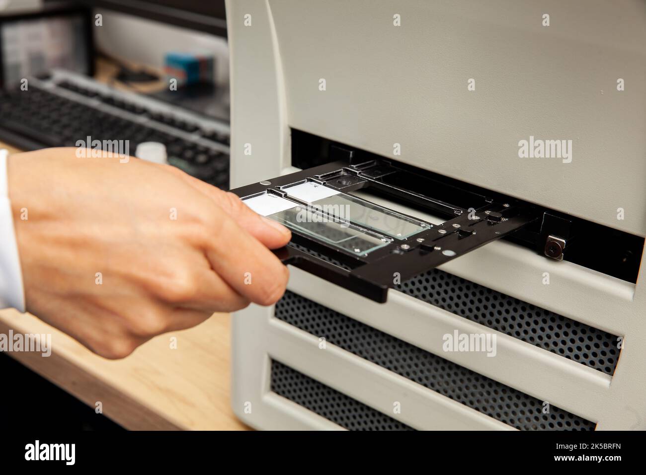 Scientist scanning microscope slides with tissue samples for pathology ...