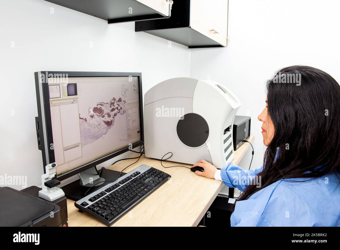 Young female scientist scanning microscope slides with tissue samples ...