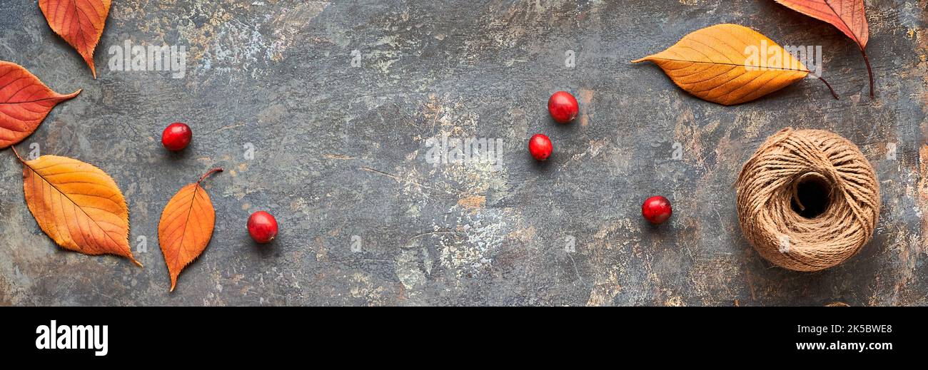 Panoramic banner image with red cherry leaves, hemp cord and cranberry ...