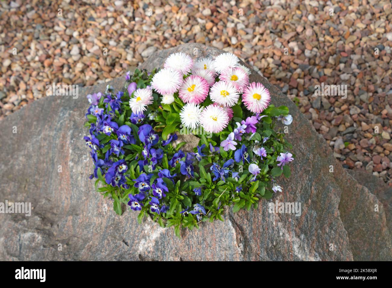 A bunch of colorful flowers on a giant stone in closeup Stock Photo - Alamy