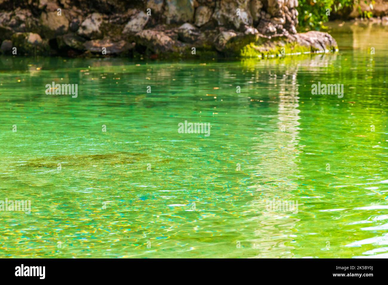 Small beautiful Cenote cave with river and turquoise blue water at ...