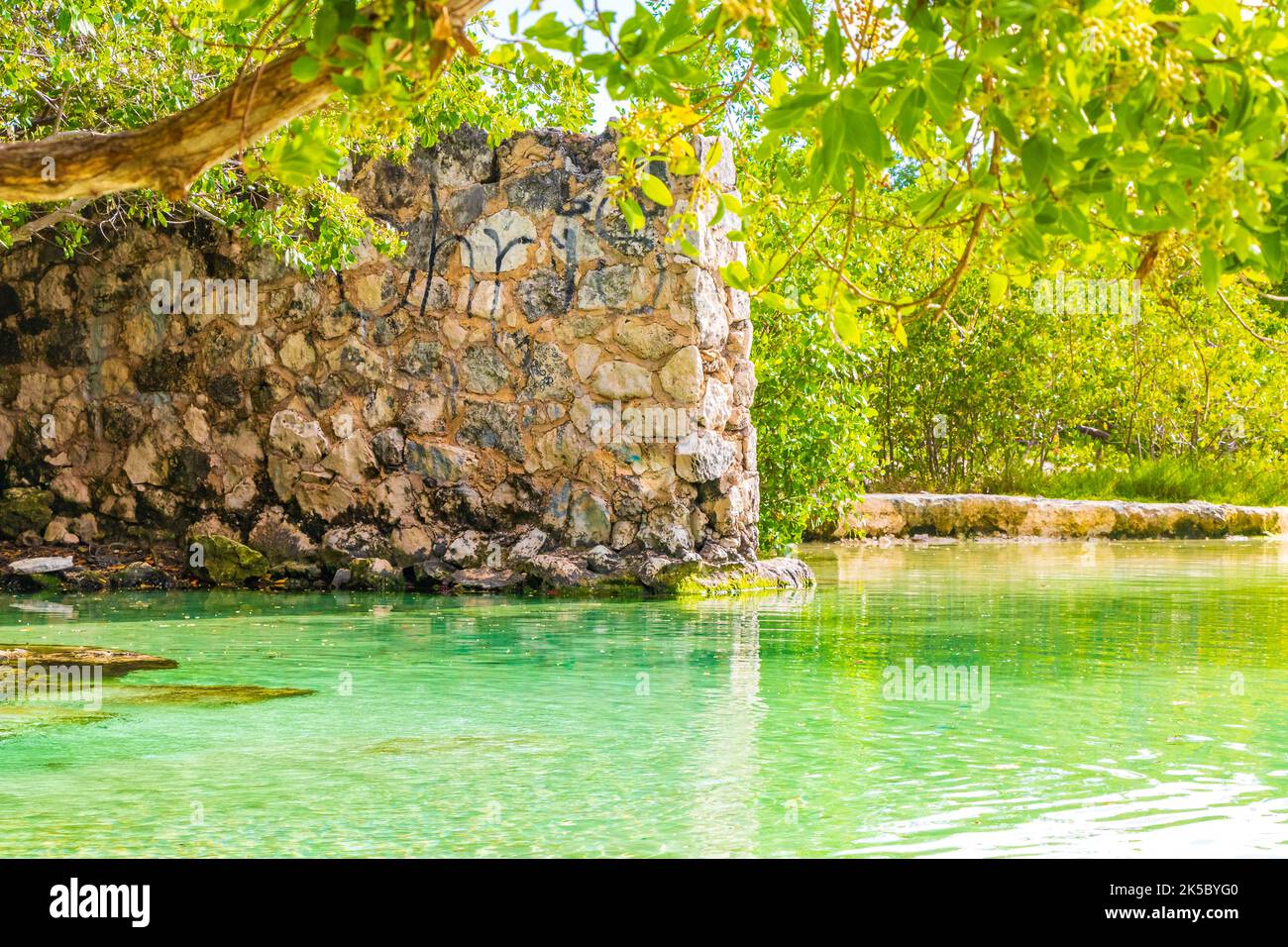 Small beautiful Cenote cave with river and turquoise blue water at ...