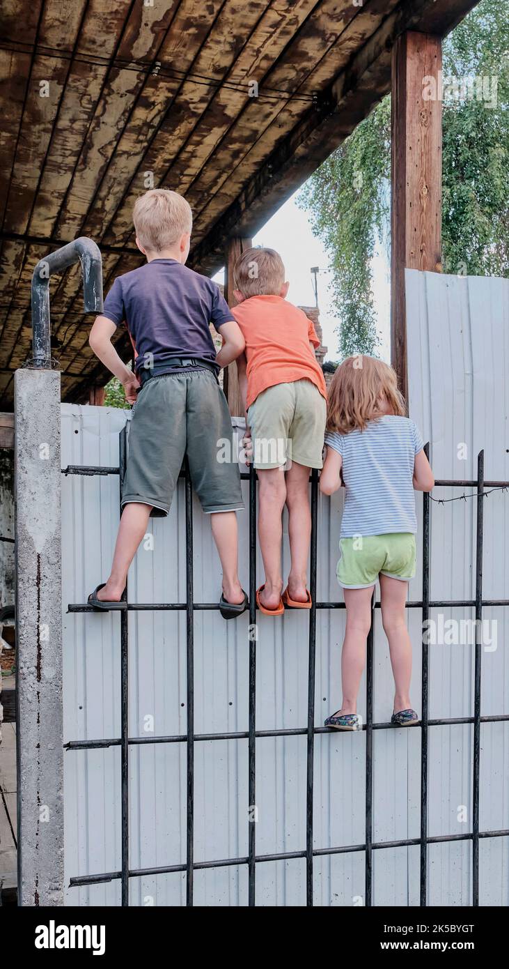 Three children climbed grate near fence and look inside yard with ...