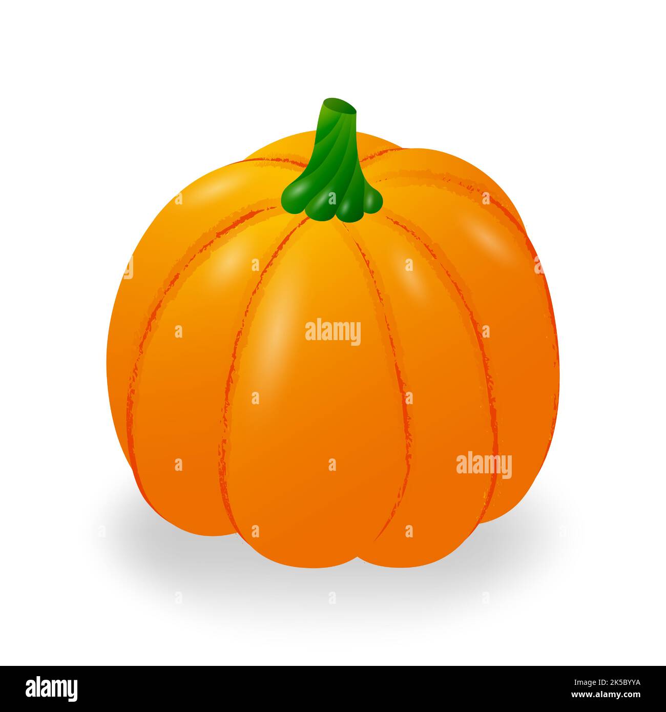 Ripe realistic round pumpkin. Isolated on a white background. Vector ...