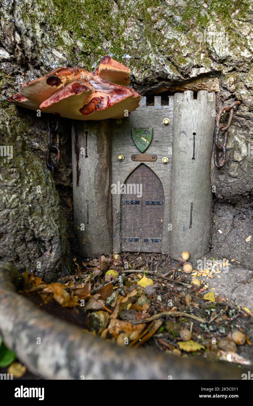 Door in tree in fungi hi-res stock photography and images - Alamy