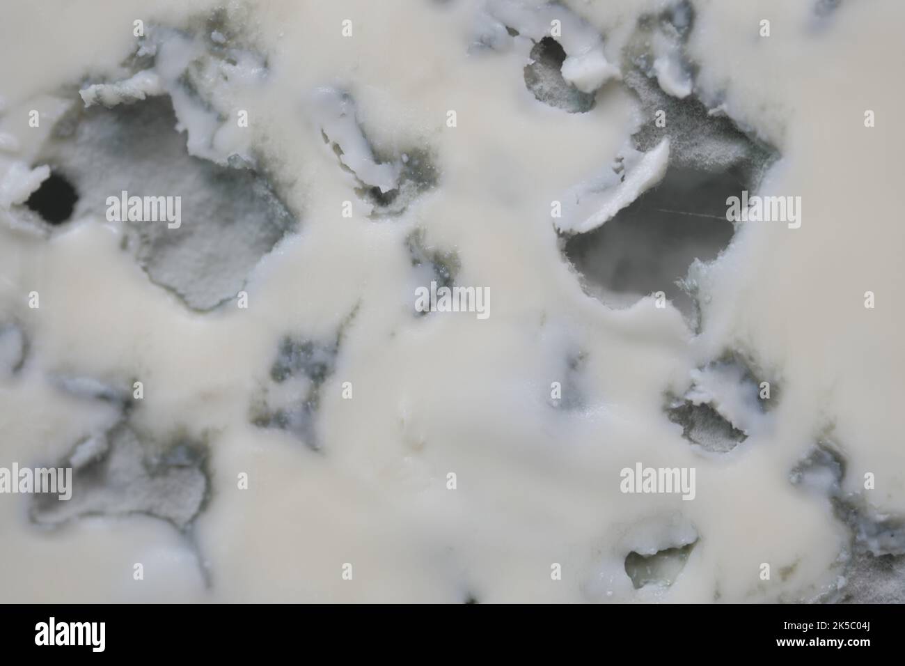 detail shot of blue cheese on table Stock Photo - Alamy