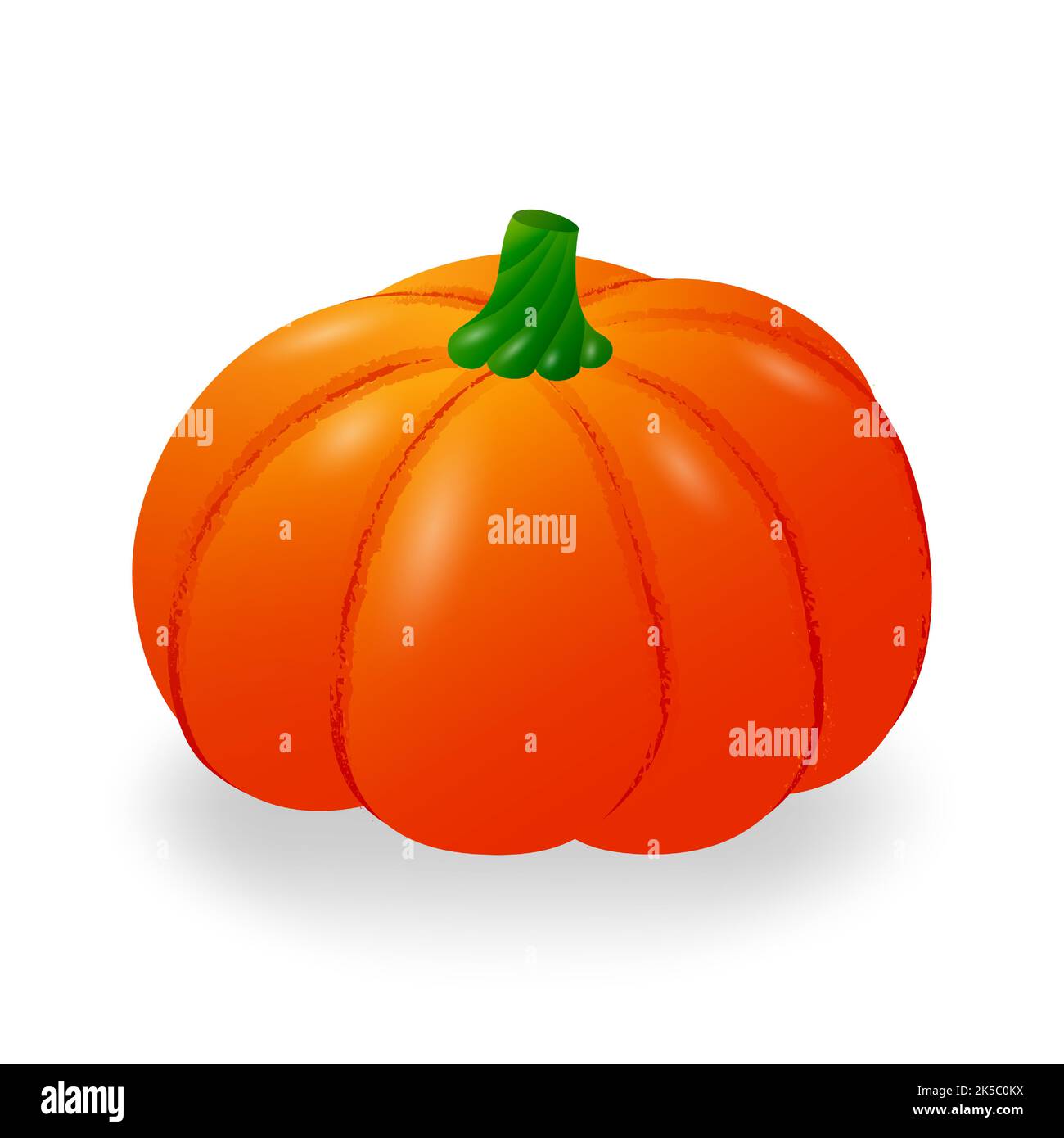 Sweet gourd Stock Vector Images - Alamy