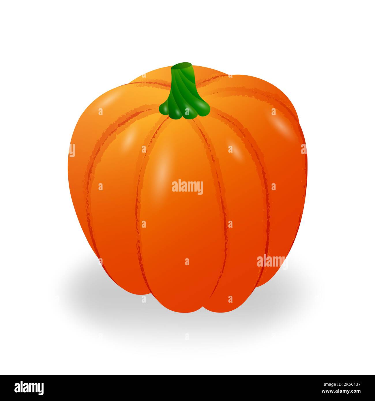 Round orange pumpkin. Isolated on a white background. Vector ...