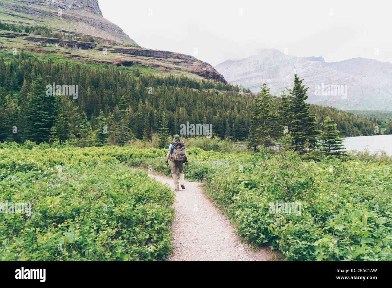 Male hiker on the Swiftcurrent Pass trail in Glacier National Park ...