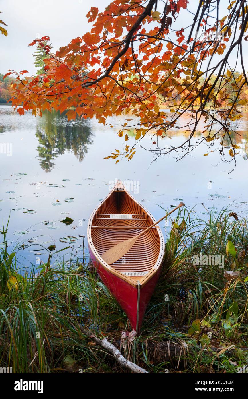 Red wooden canoe on calm lake with maple branches above during autumn ...