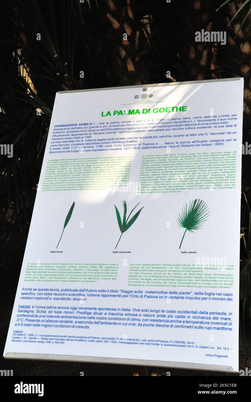 The University of Padua Botanical Garden. The Botanical Garden of the ...