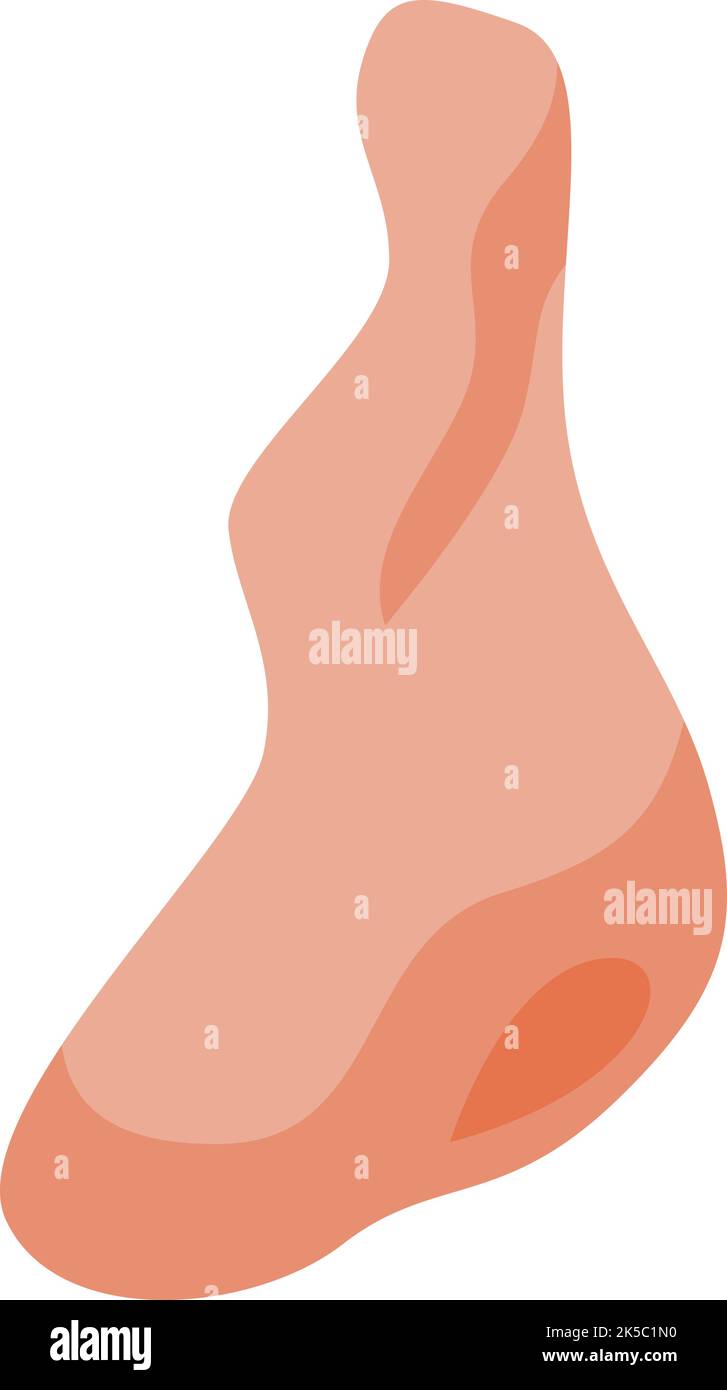 Nose operation icon isometric vector. Plastic surgery. Face bone Stock ...