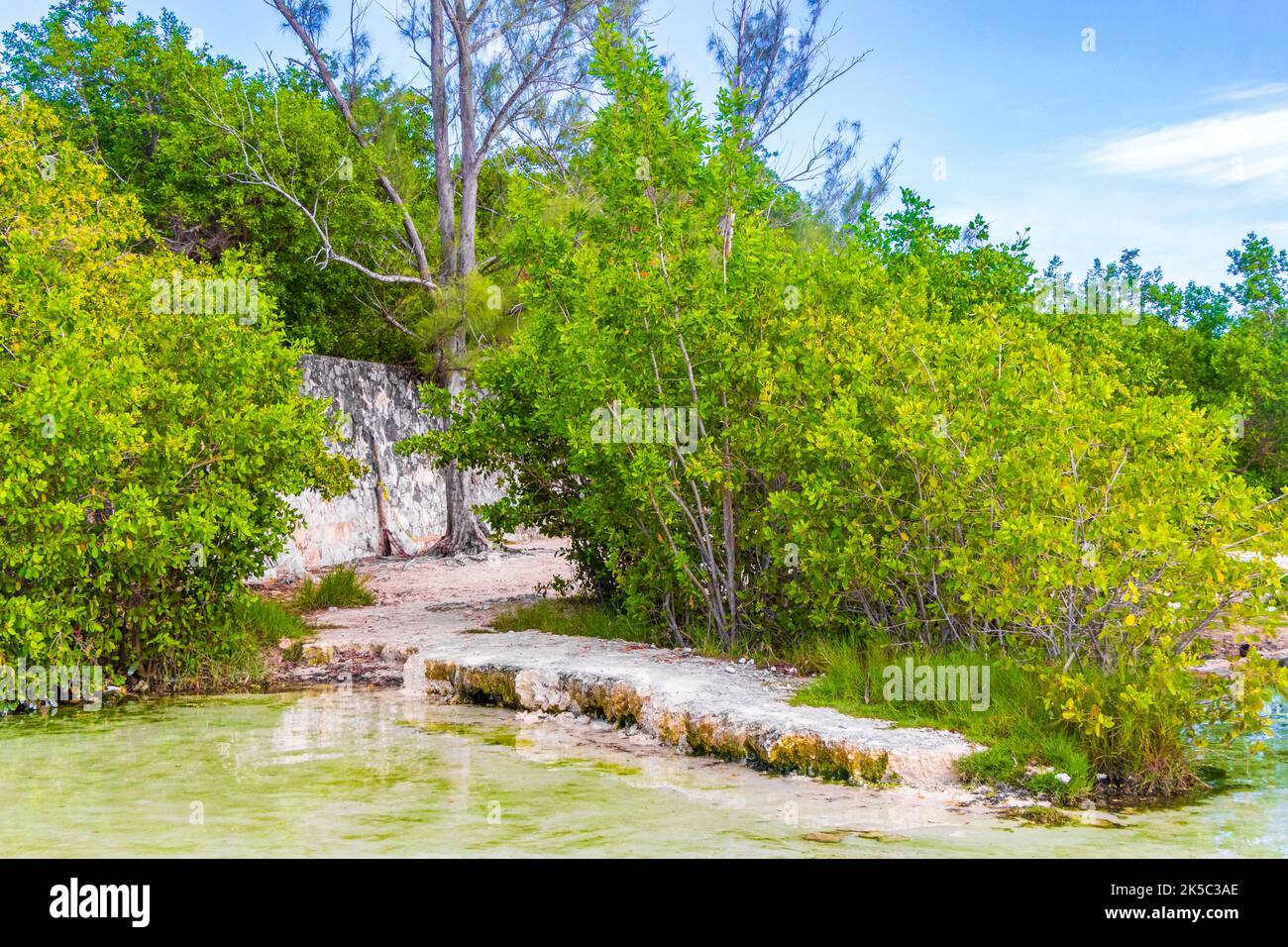 Small beautiful Cenote cave with river and turquoise blue water at ...