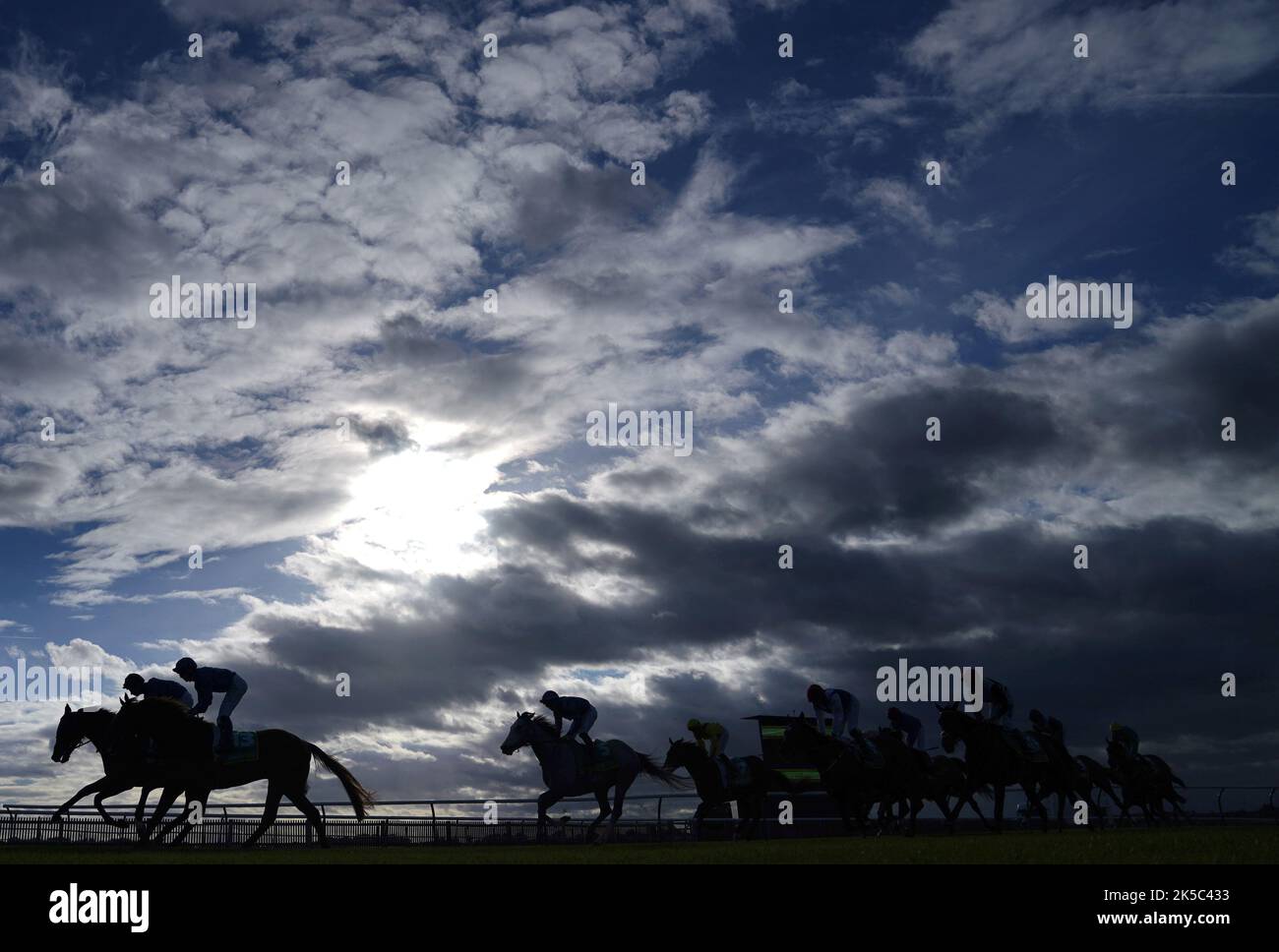 Runners and riders in the bet365 Old Rowley Cup Handicap during Dubai ...