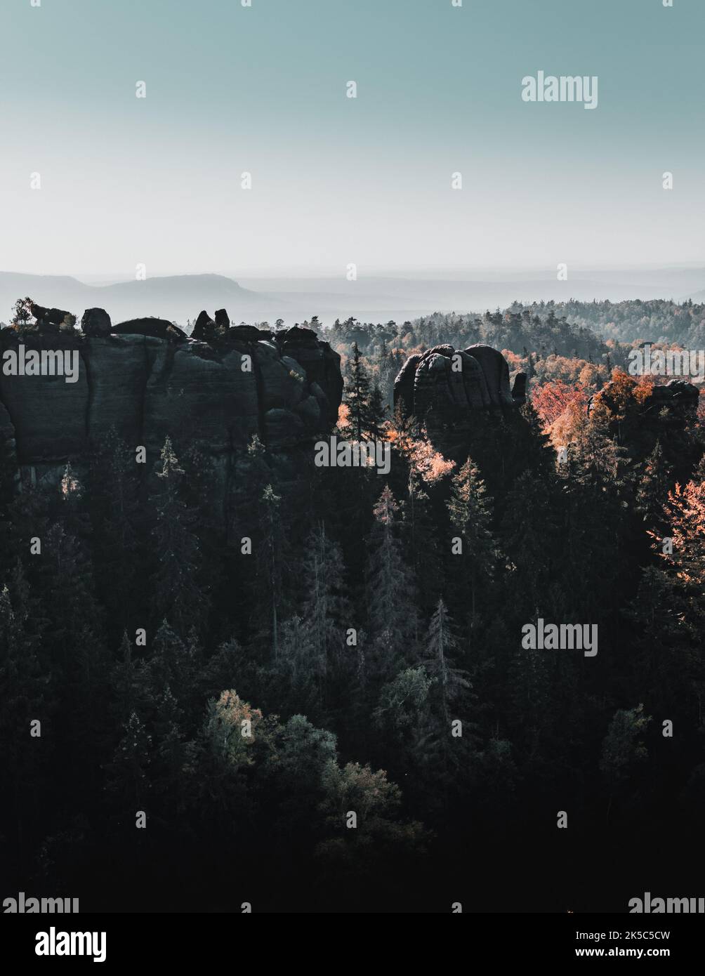 Saxon switzerland trees hi-res stock photography and images - Alamy