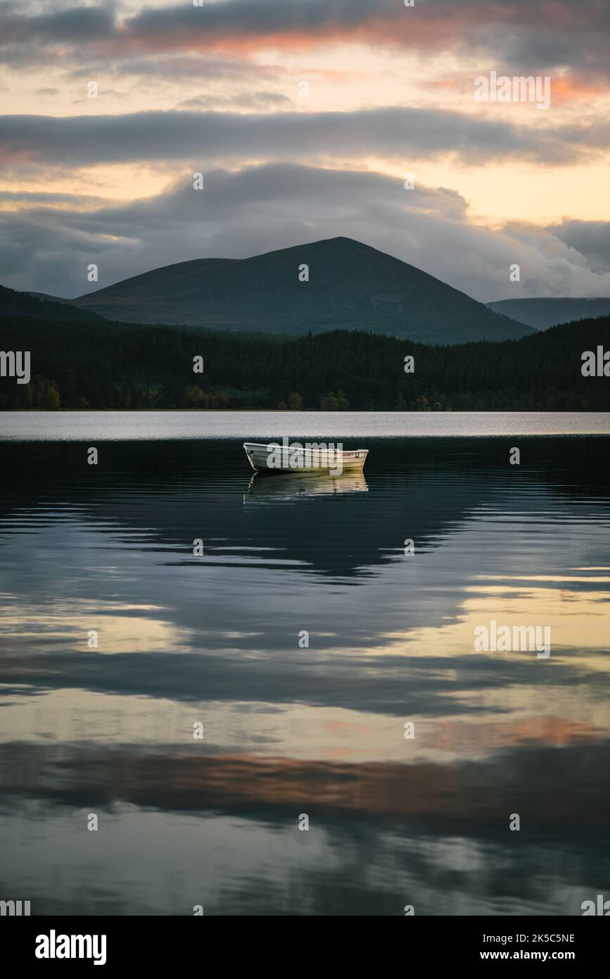 A vertical closeup of a lake reflecting the mountain and gloomy sky at ...