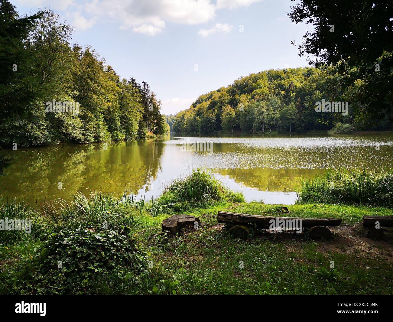 A low-angle of lake view reflecting green trees and sky background ...
