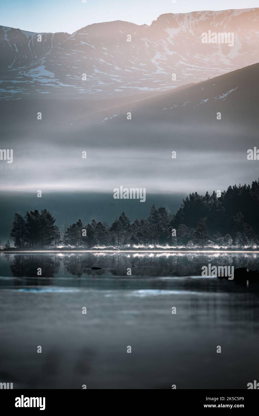 A vertical low-angle of a lake reflecting trees and misty, snowy ...