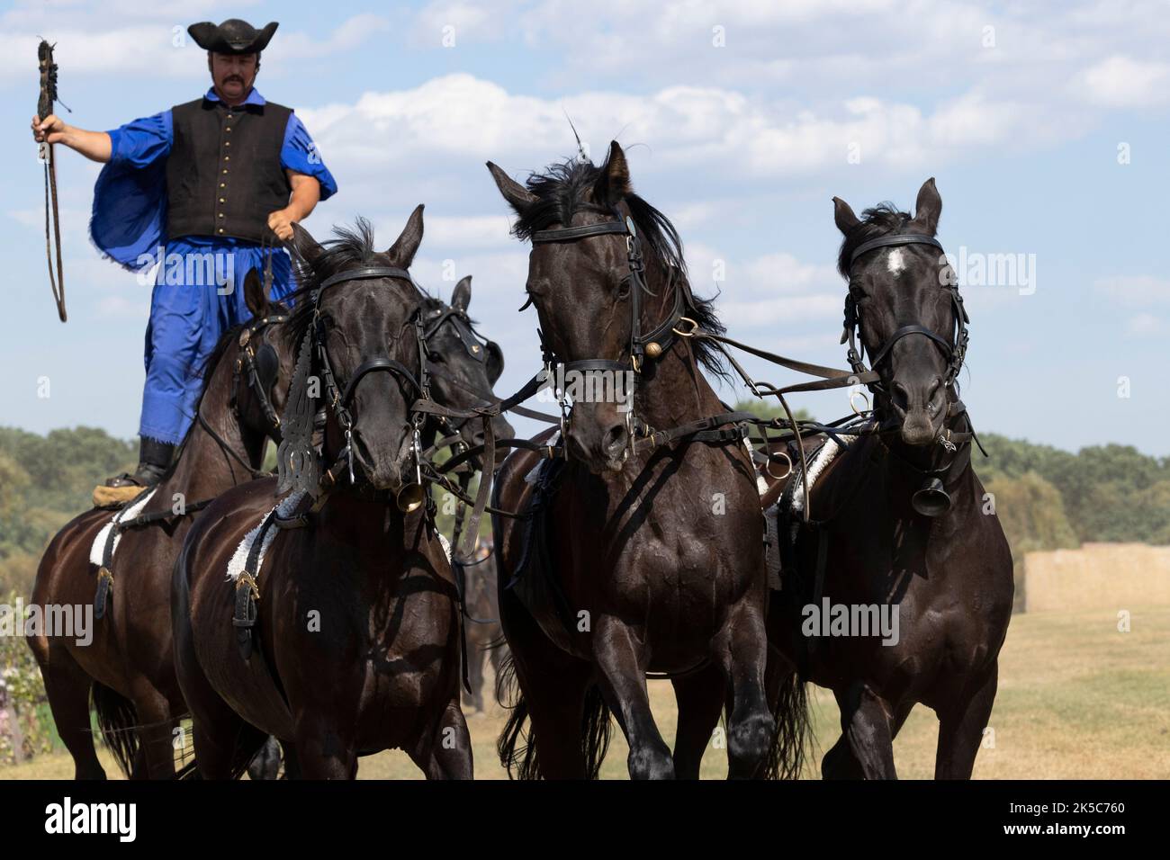 Hortobágy national park horse hi-res stock photography and images - Alamy