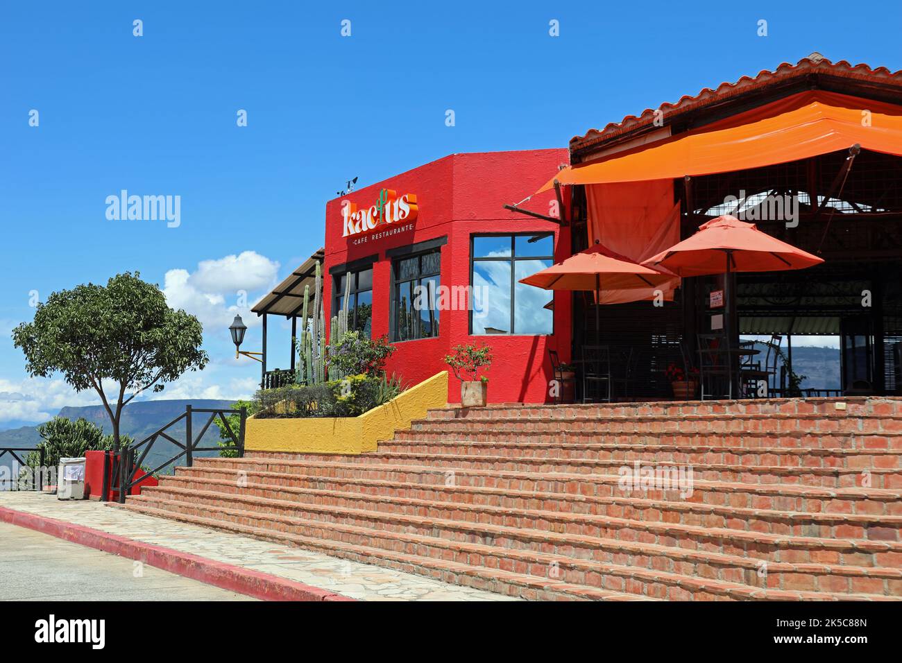 Cafe kactus hi-res stock photography and images - Alamy