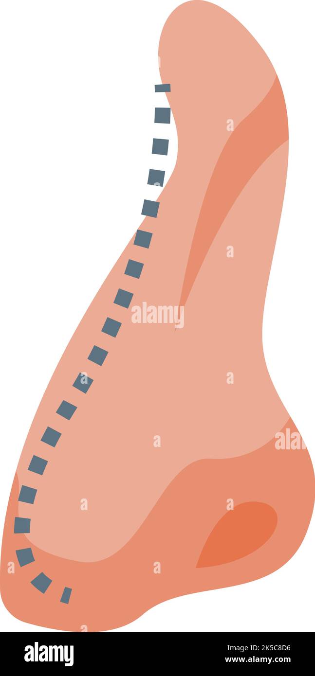 Open nose surgery icon isometric vector. Doctor rhinoplasty. Before ...