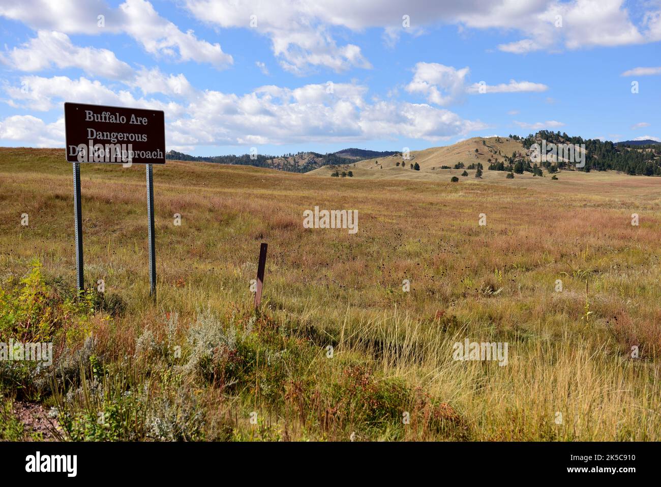 'Buffalo Are Dangerous' roadside warning sign against a background of ...