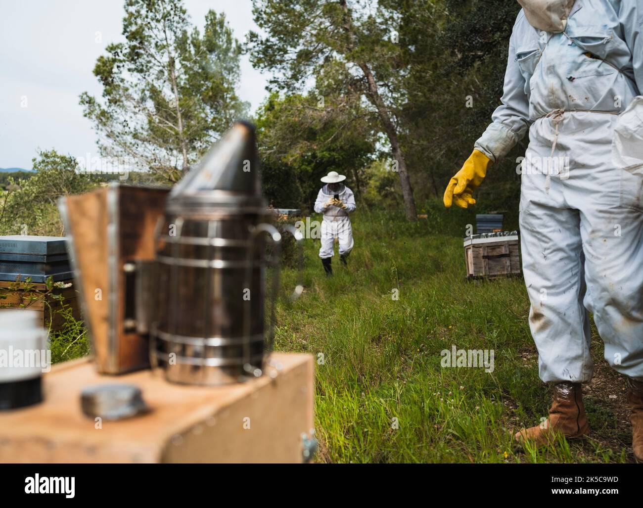 Focus selective of smoker with two beekeepers at work Stock Photo - Alamy