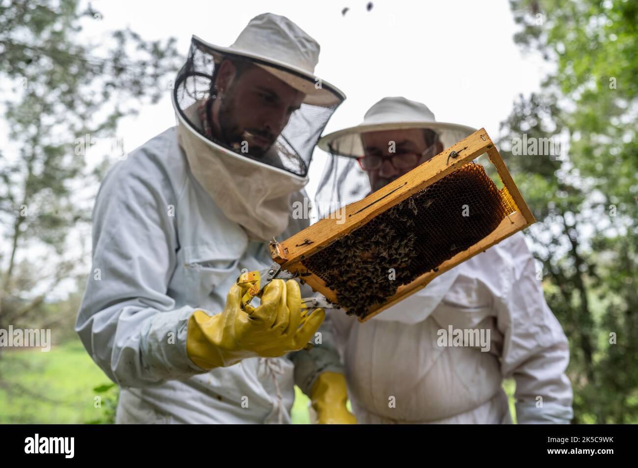 Two people checking bee hive hi-res stock photography and images - Alamy