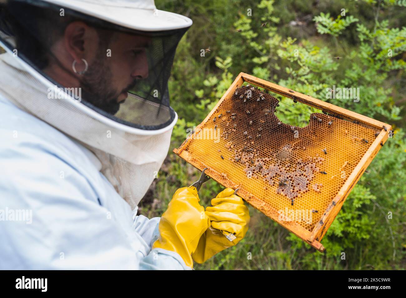 Human hive hi-res stock photography and images - Alamy